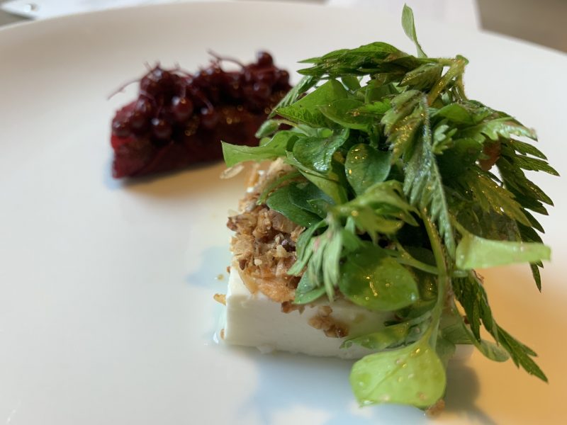 Vilnius Blew Me Away: Best Restaurants You Must to Try - Traveling ...