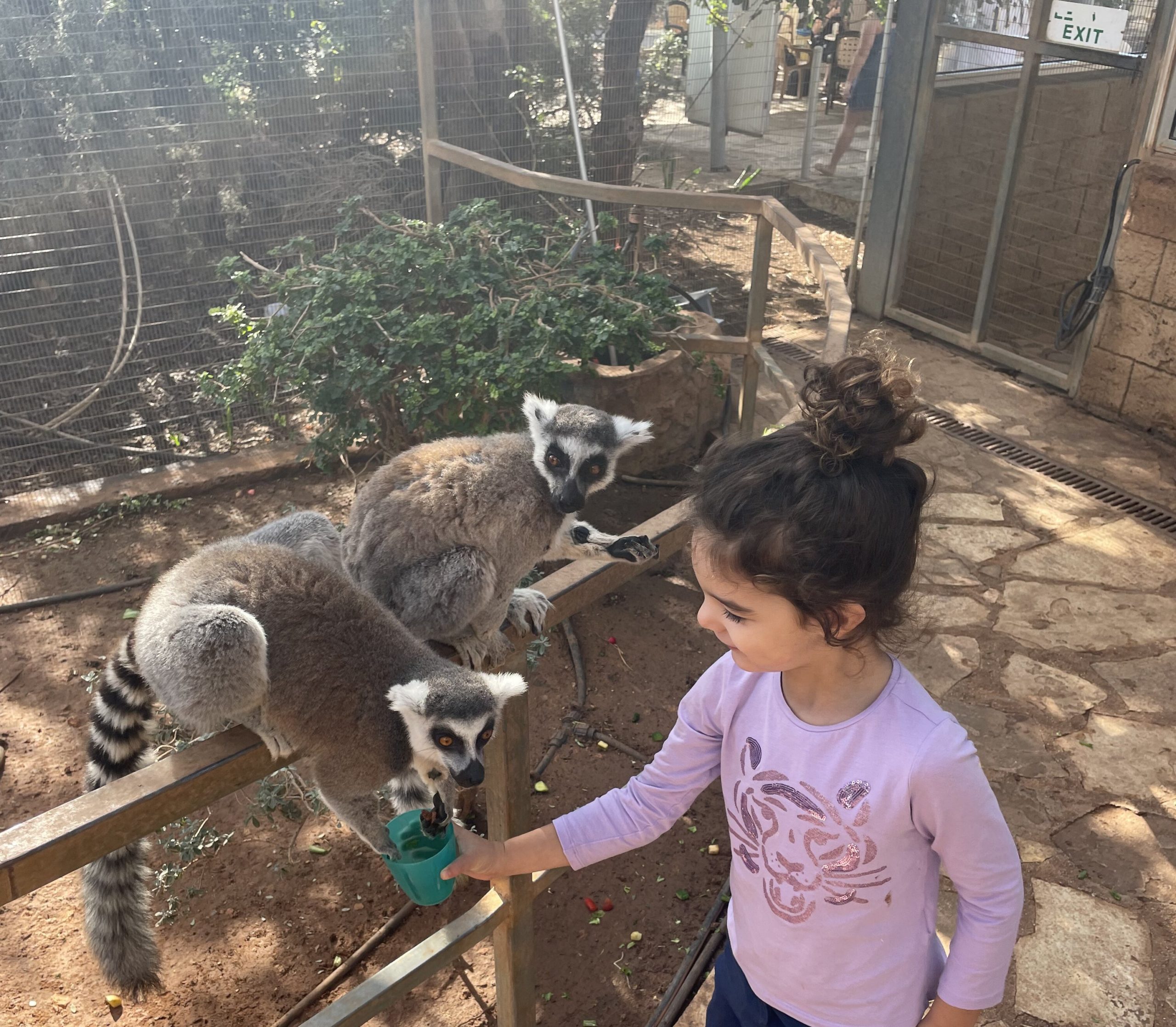What to do in Paphos with kids - recommendations for attractions for ...