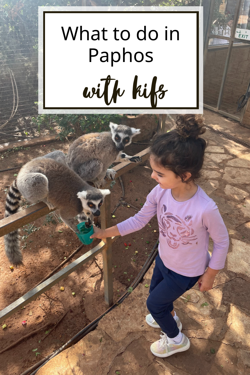 What to do in Paphos with kids - recommendations for attractions for ...