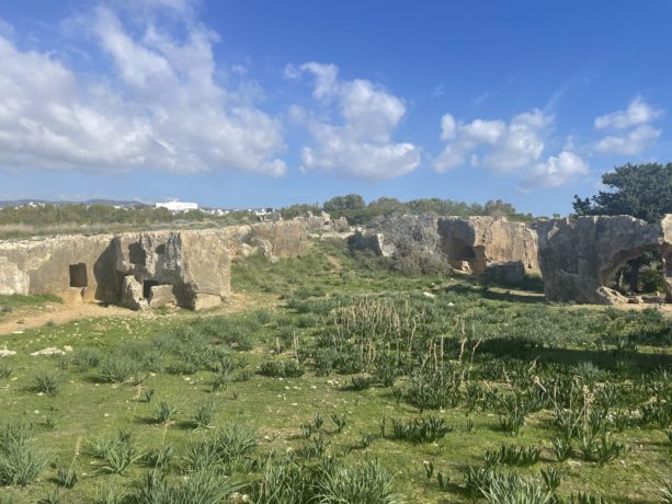 What to do in Paphos with kids - recommendations for attractions for ...