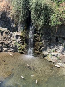 What to do in Cyprus in winter - Traveling outside the box