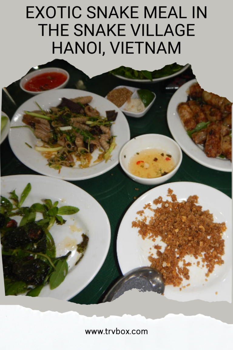 Snake meal in the Snake Village Hanoi Vietnam - Traveling outside the box